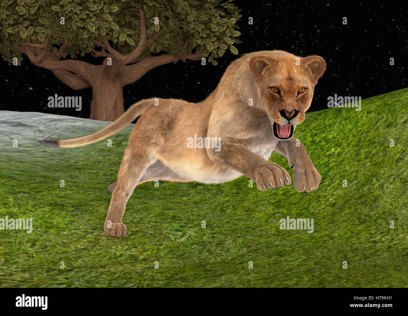 Female Lions Hunting