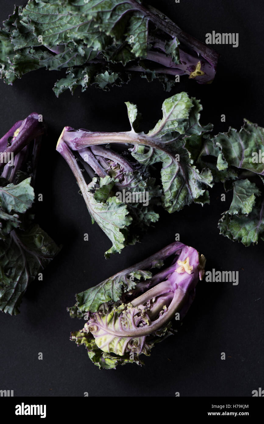 Kalettes on black background Stock Photo - Alamy