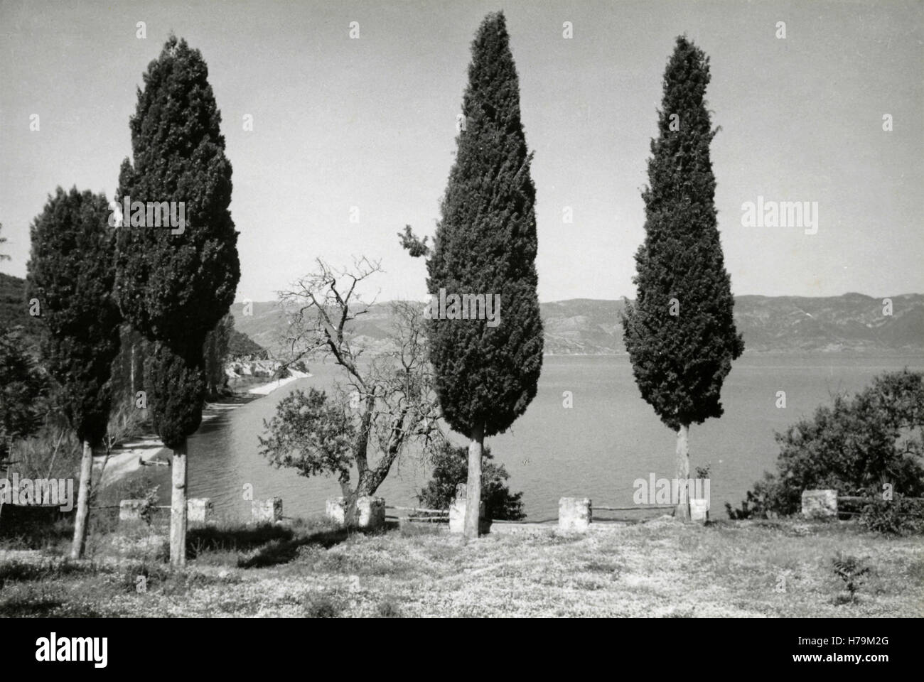 Shen naum hi-res stock photography and images - Alamy