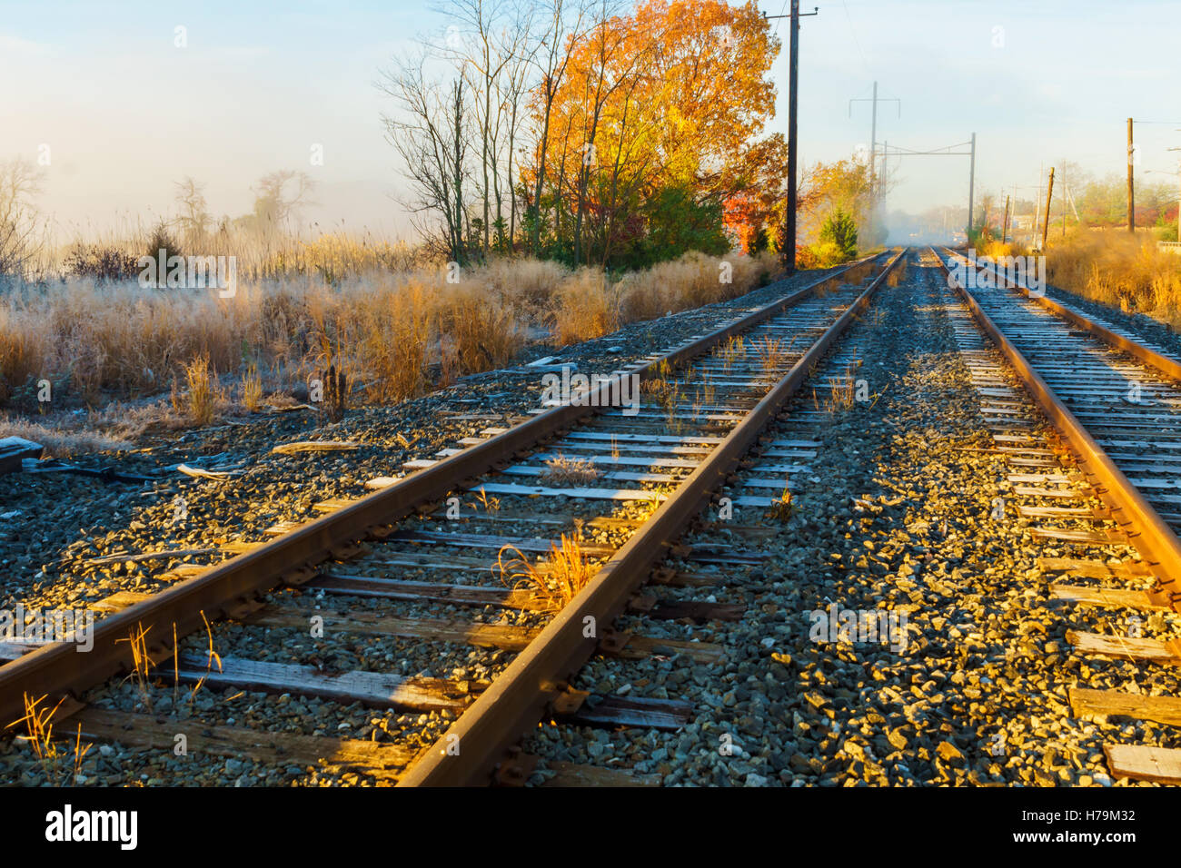 Covering tracks hi-res stock photography and images - Alamy