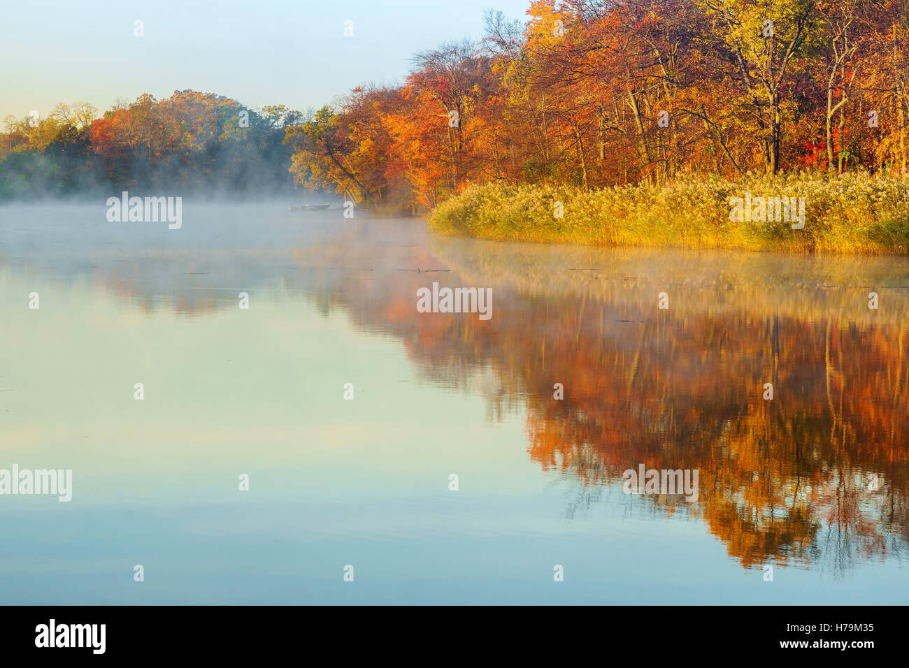 Fog over river in forest in the autumn Stock Photo - Alamy