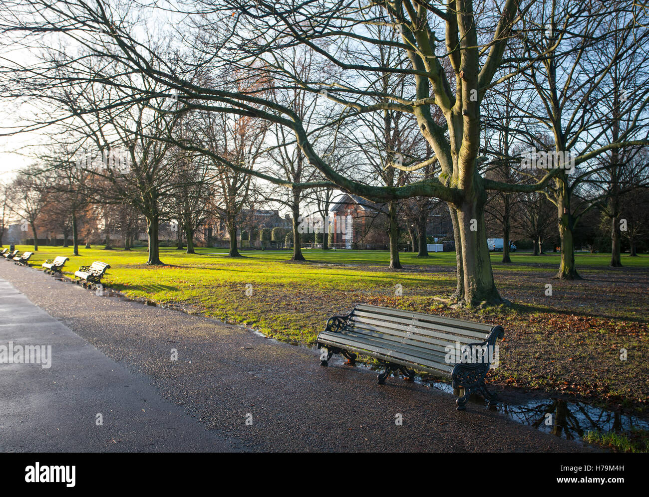 Park bench in the morning light autumn Stock Photo - Alamy