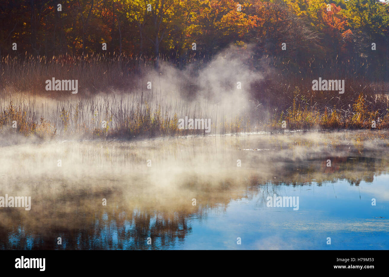 Beautiful sad landscape hi-res stock photography and images - Alamy