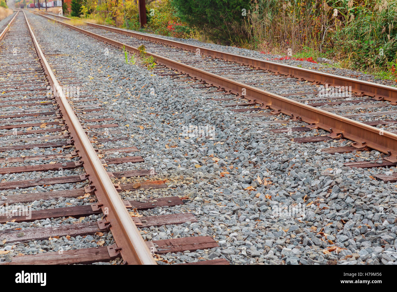 Railway tracks in a rural forest with white clouds. Empty railroad ...