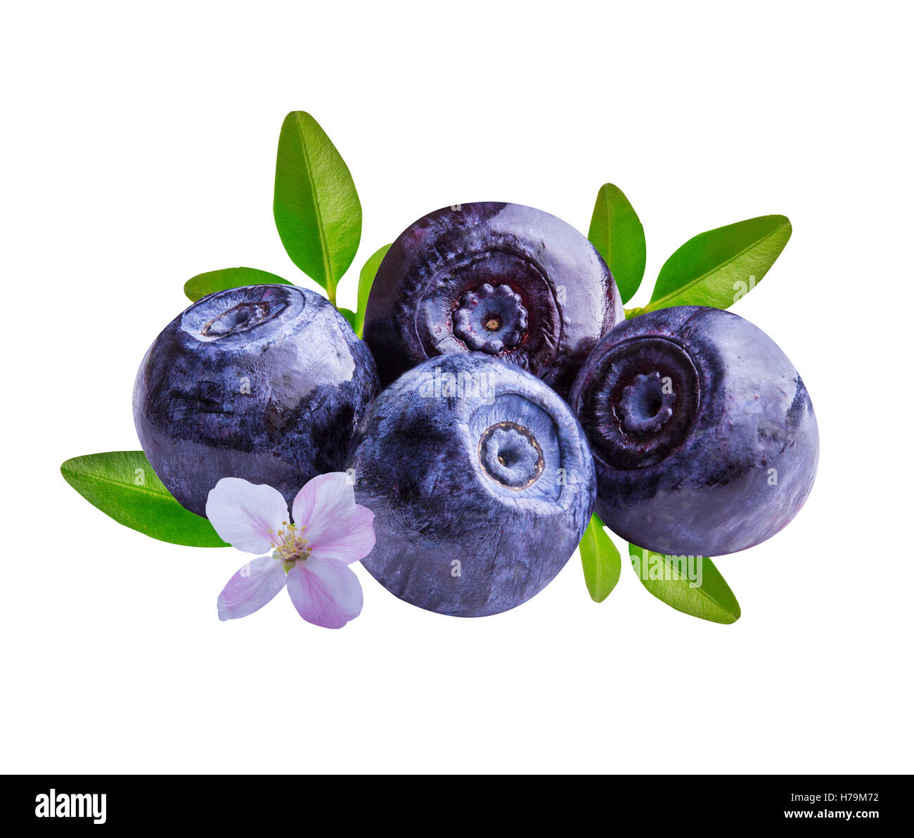 Fresh Bilberries blueberries, isolated on white background Stock Photo ...