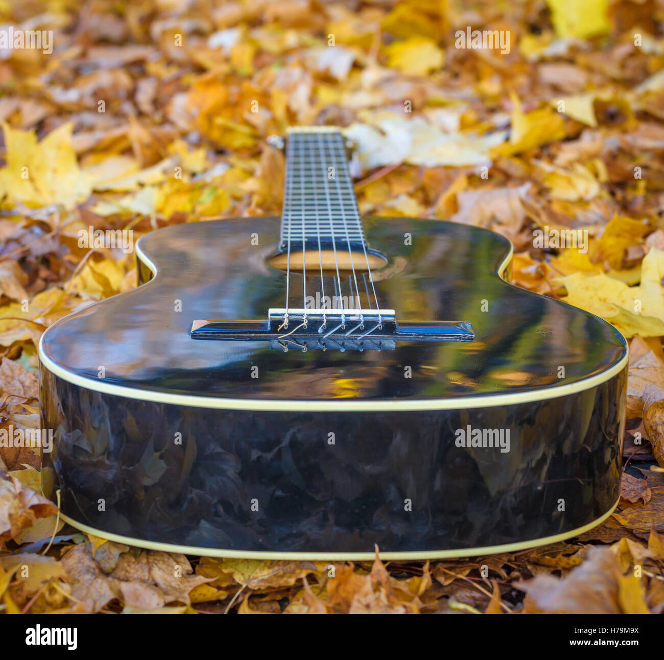 Surrounded by fall col hi-res stock photography and images - Alamy