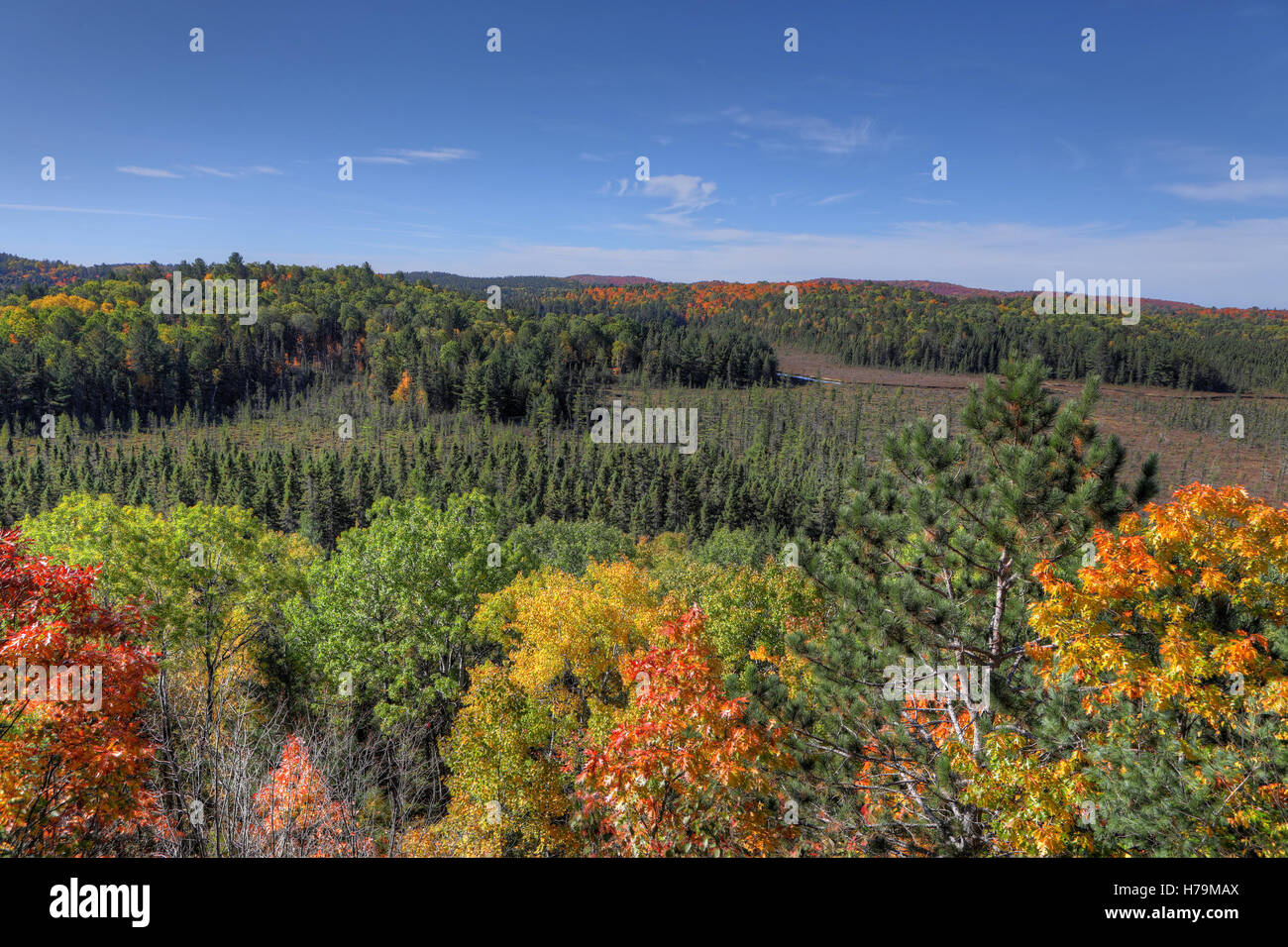 Boreal forest in fall hi-res stock photography and images - Alamy