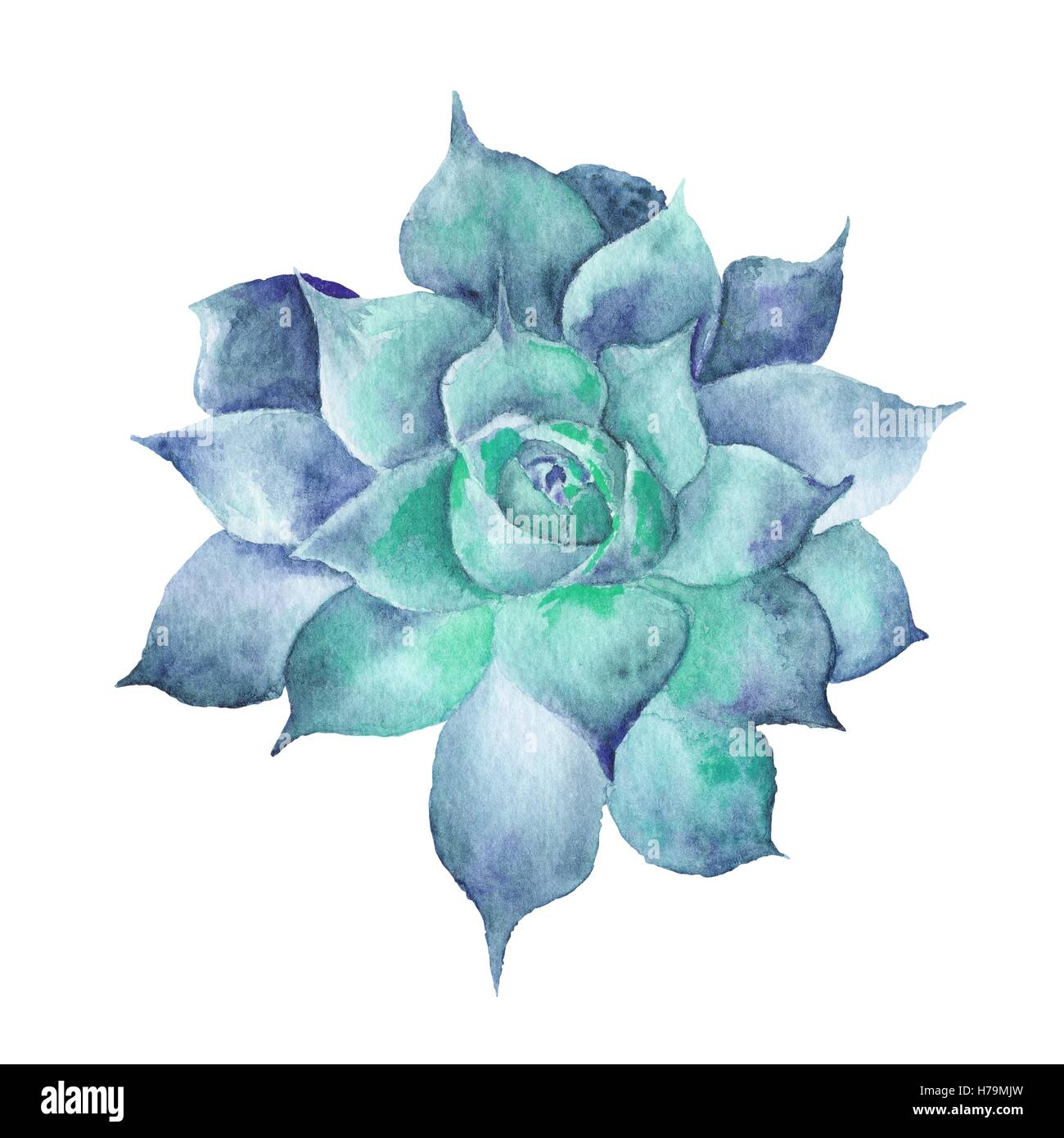 Hand-painted drawing with green tropical plant isolated on white ...