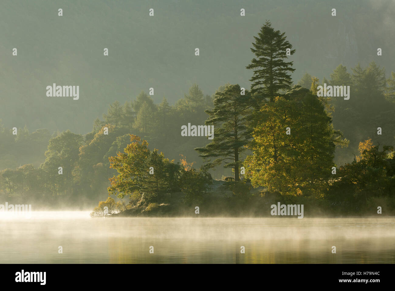 Mist over Lake Derwent Water at dawn, Brandlehow, Borrowdale, The Lake ...