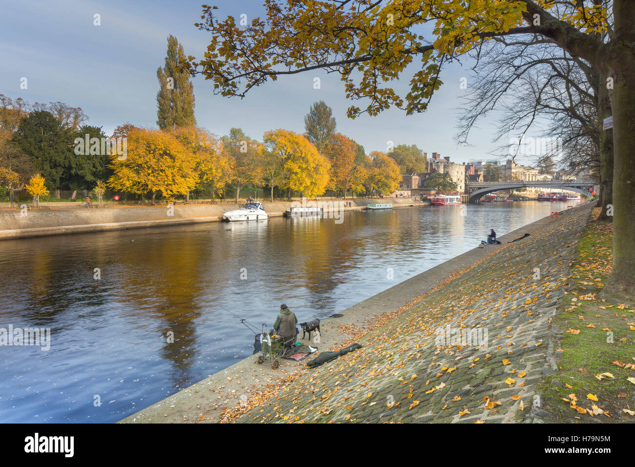 Autumn along the River Ouse in York City Centre Stock Photo - Alamy