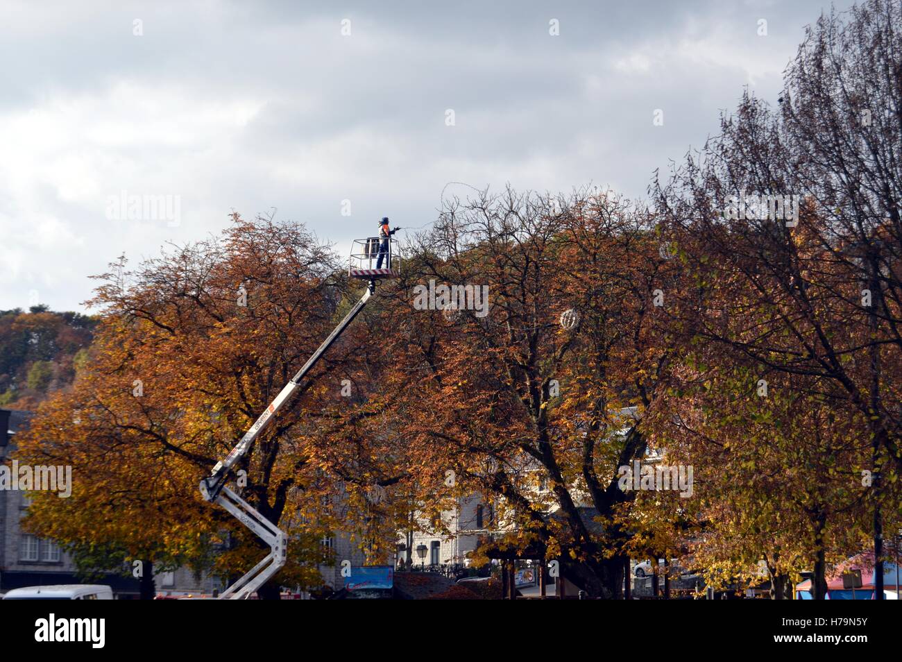 Undergrowth and forest with autumn colors with a small path Stock Photo ...