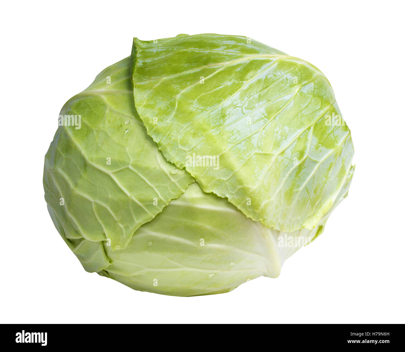 Green cabbage isolated on white background Stock Photo - Alamy