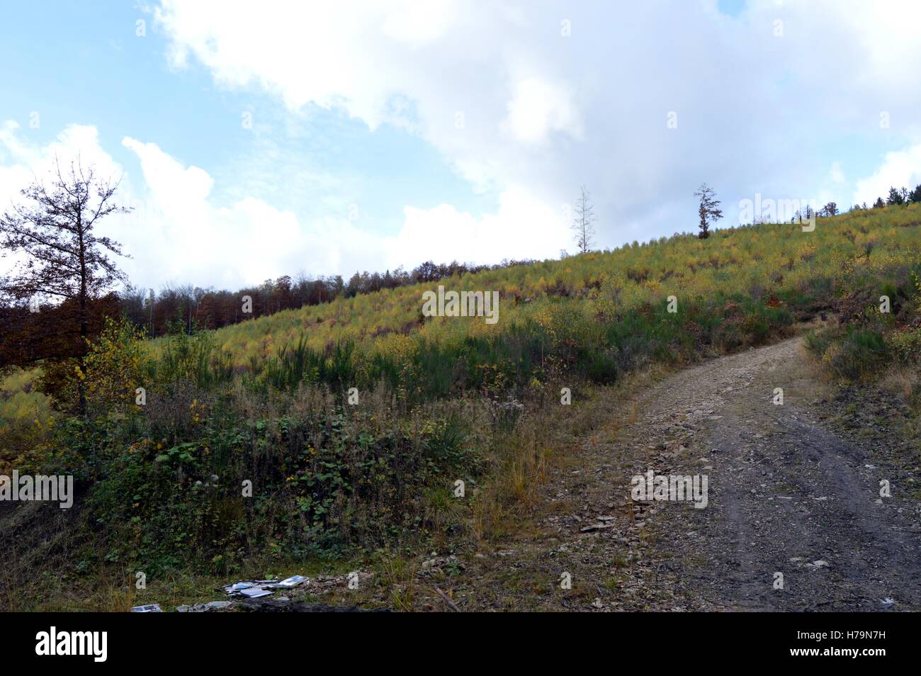 Wooden slope hi-res stock photography and images - Alamy