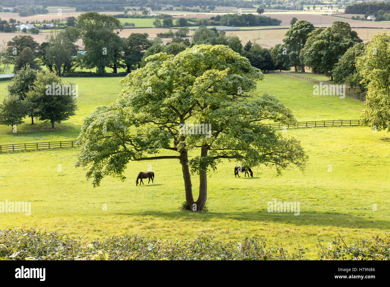 Crayke castle hi-res stock photography and images - Alamy