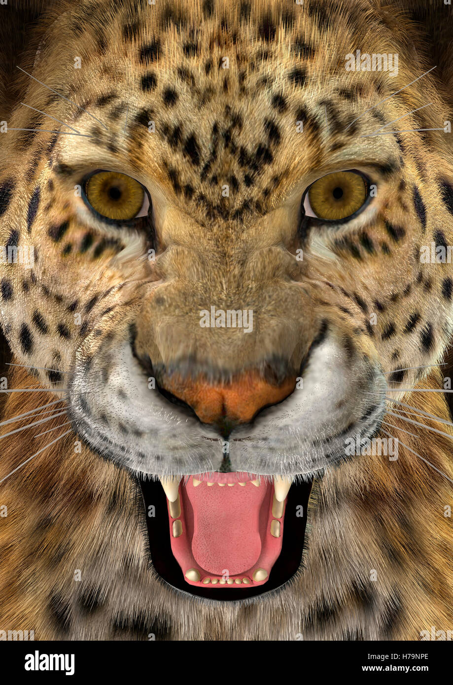 3D rendering of a head of a leopard, closeup Stock Photo - Alamy