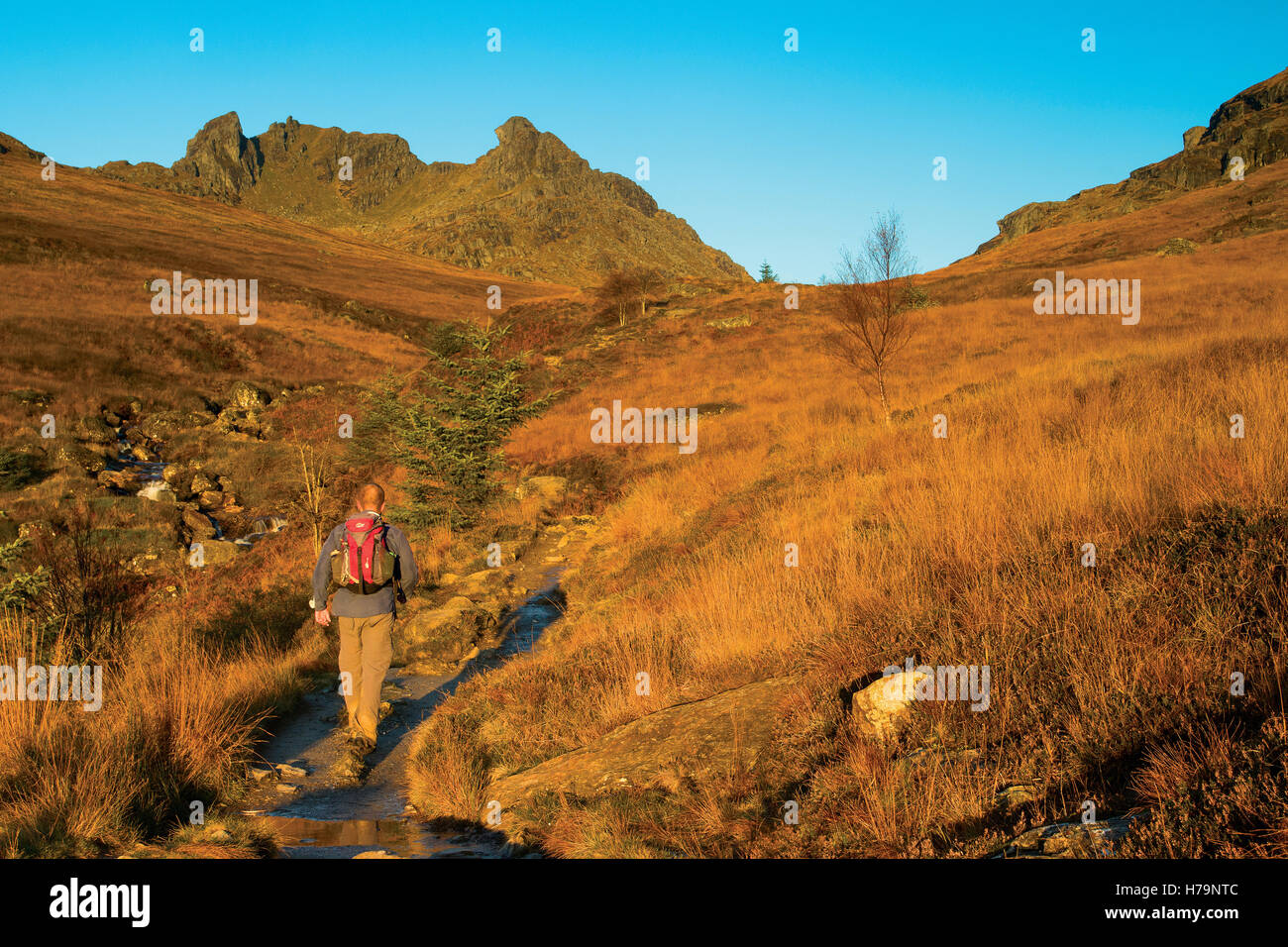 The Cobbler at dawn, the Arrochar Alps, Loch Lomond and the Trossachs ...