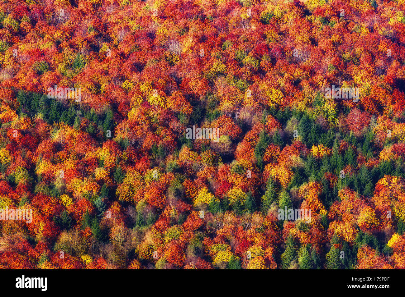 background of autumn texture pattern Stock Photo - Alamy