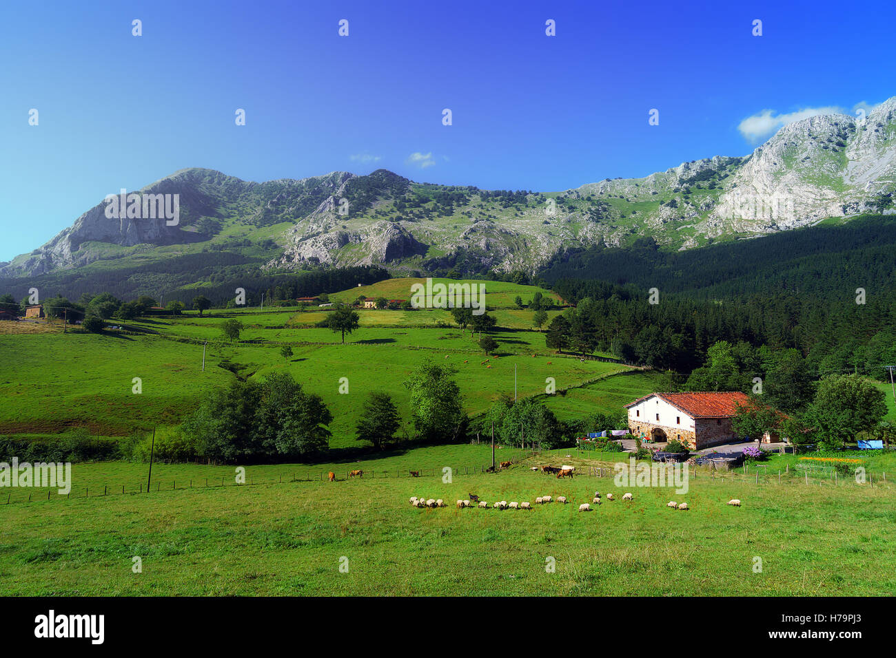 Atxondo hi-res stock photography and images - Alamy