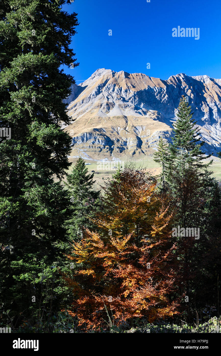 Les Aravis at Fall Stock Photo - Alamy