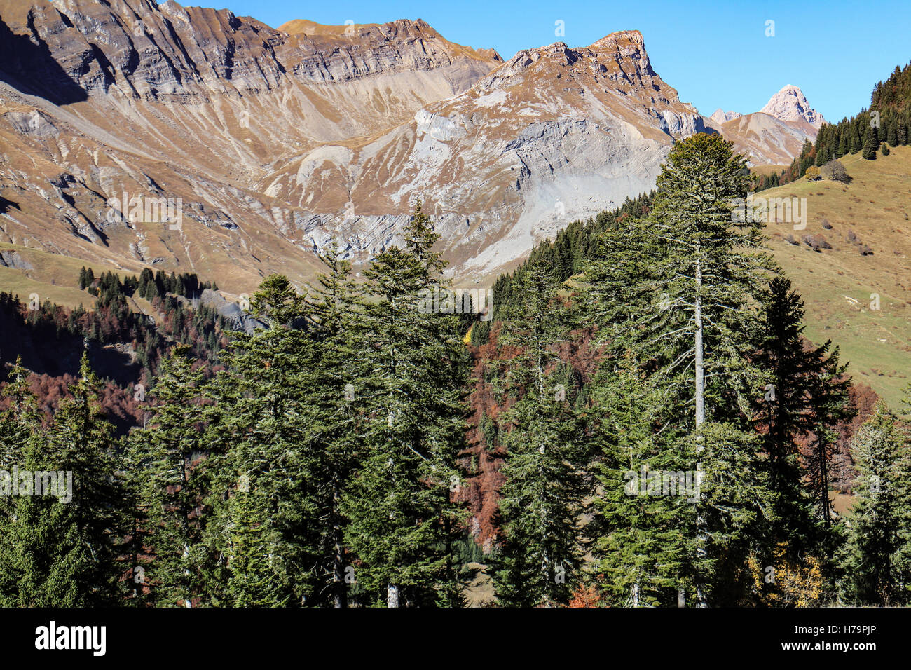 Les Aravis at Fall Stock Photo - Alamy