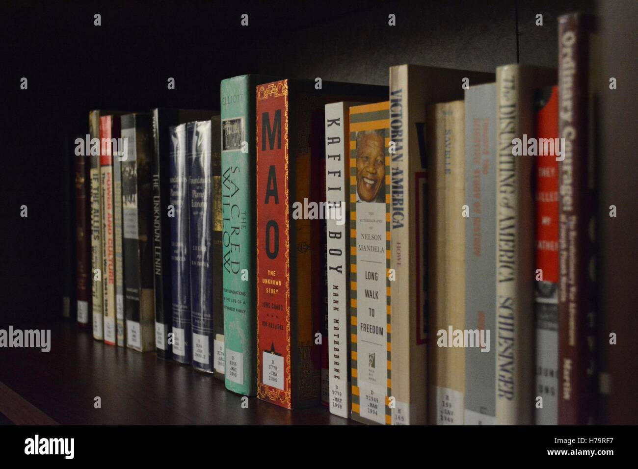 Books on a shelf Stock Photo - Alamy