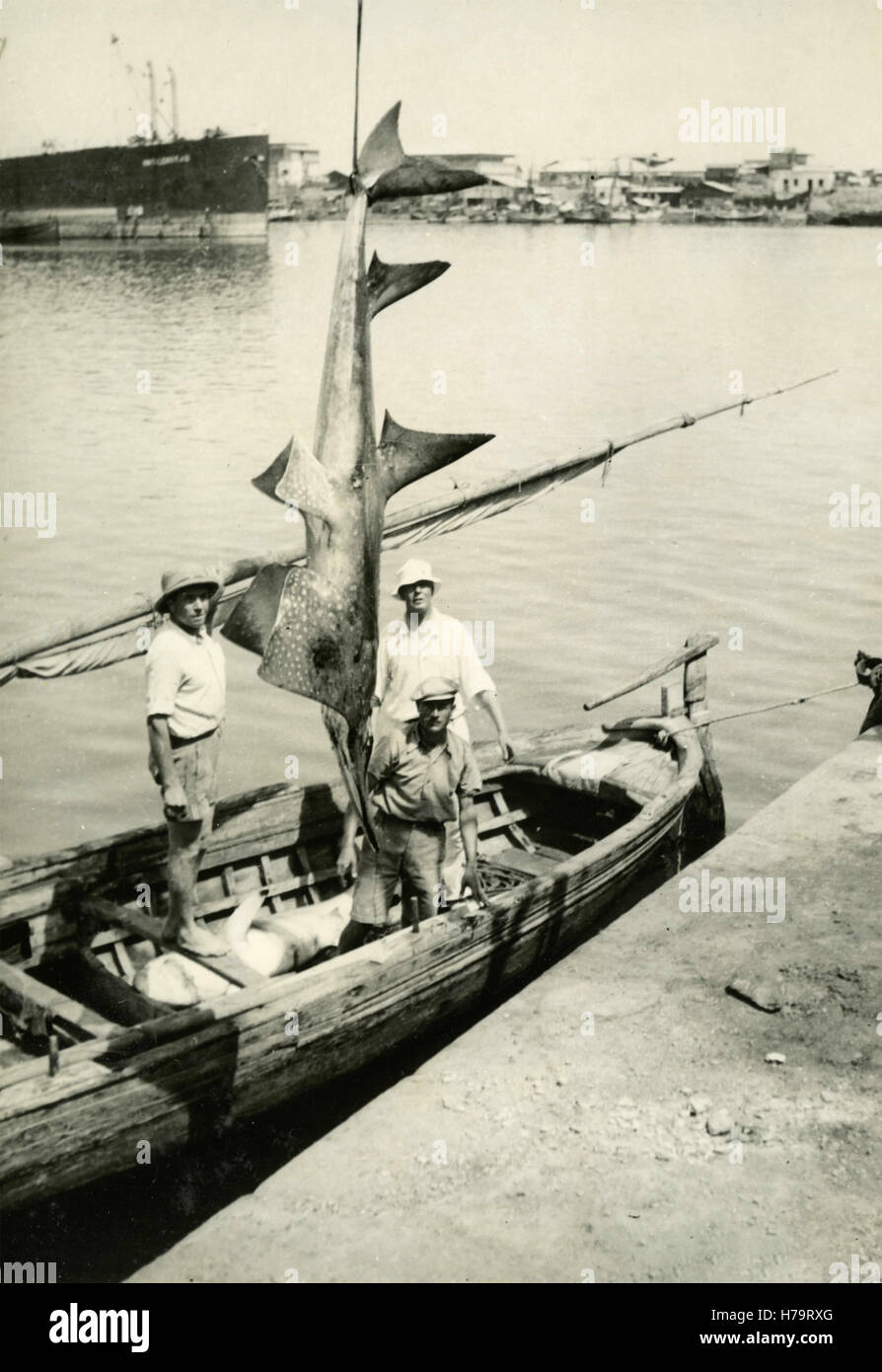 Professional shark fishing, Massawa, Eritrea Stock Photo - Alamy
