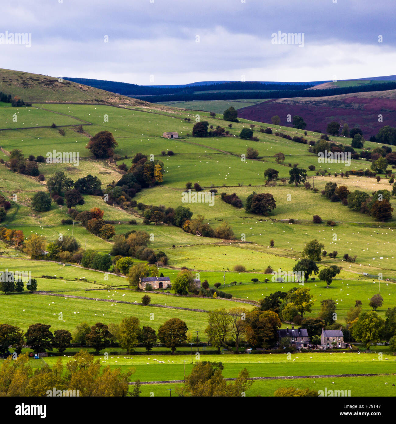 Looking down the Hope and Castleton Valley Stock Photo - Alamy