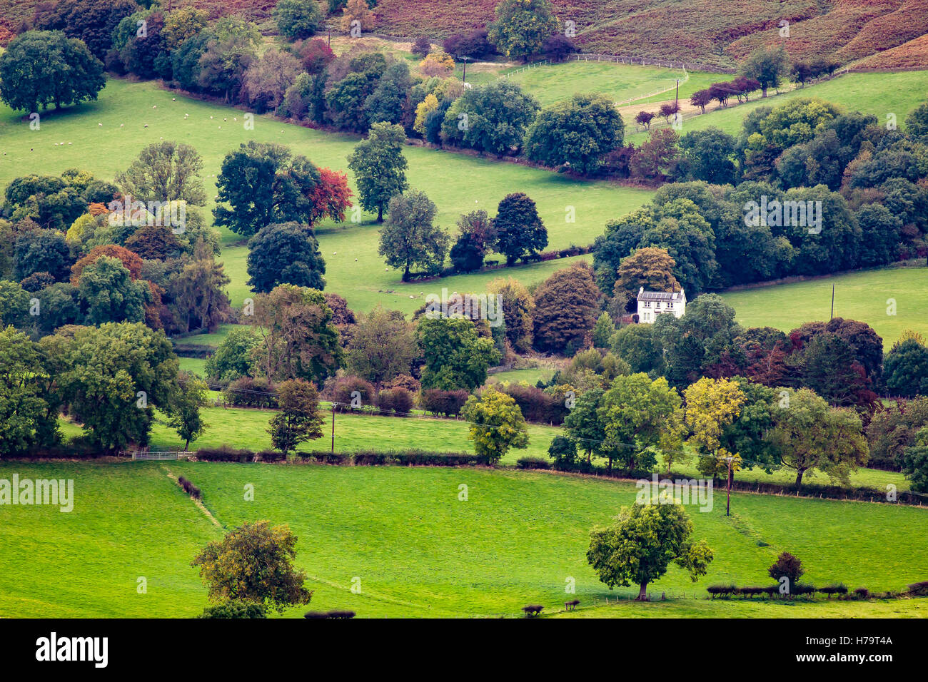 Castleton green hi-res stock photography and images - Alamy