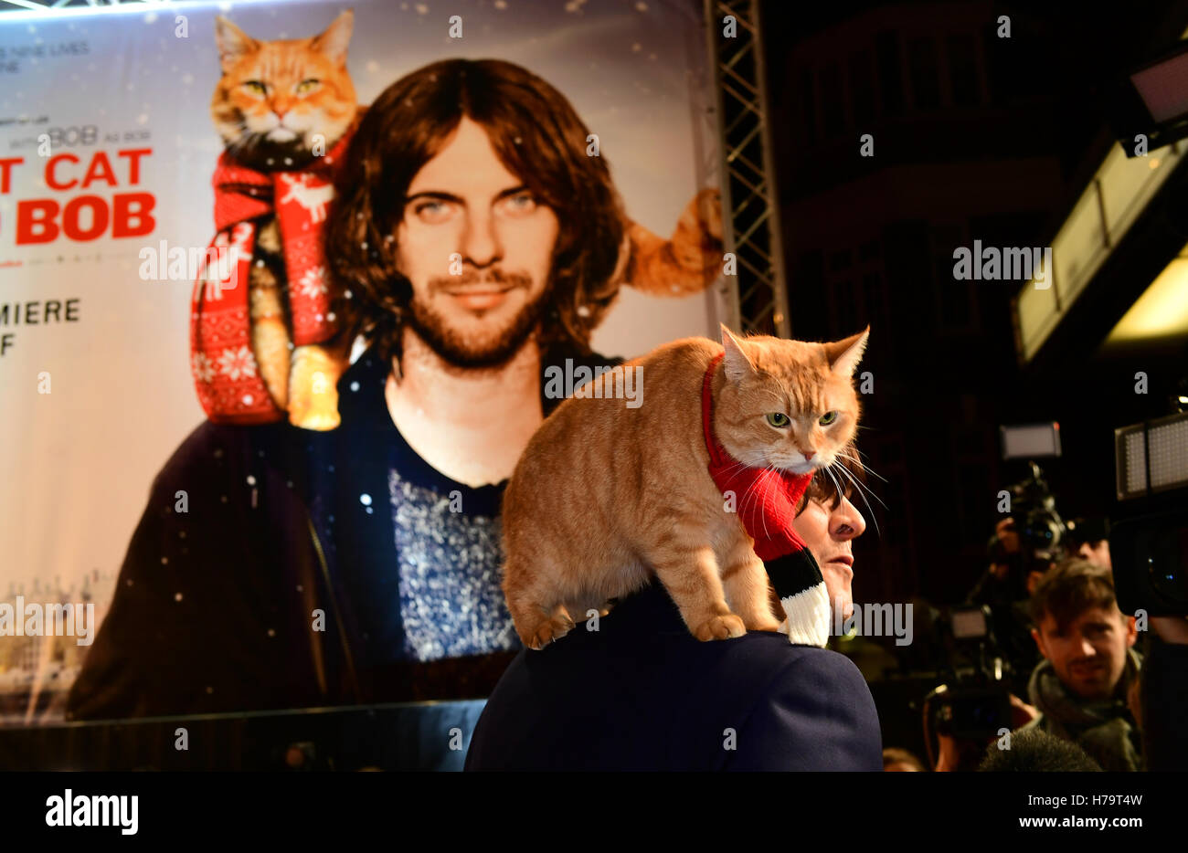 Bob the cat attending the world premiere of A Street Cat Named Bob held ...