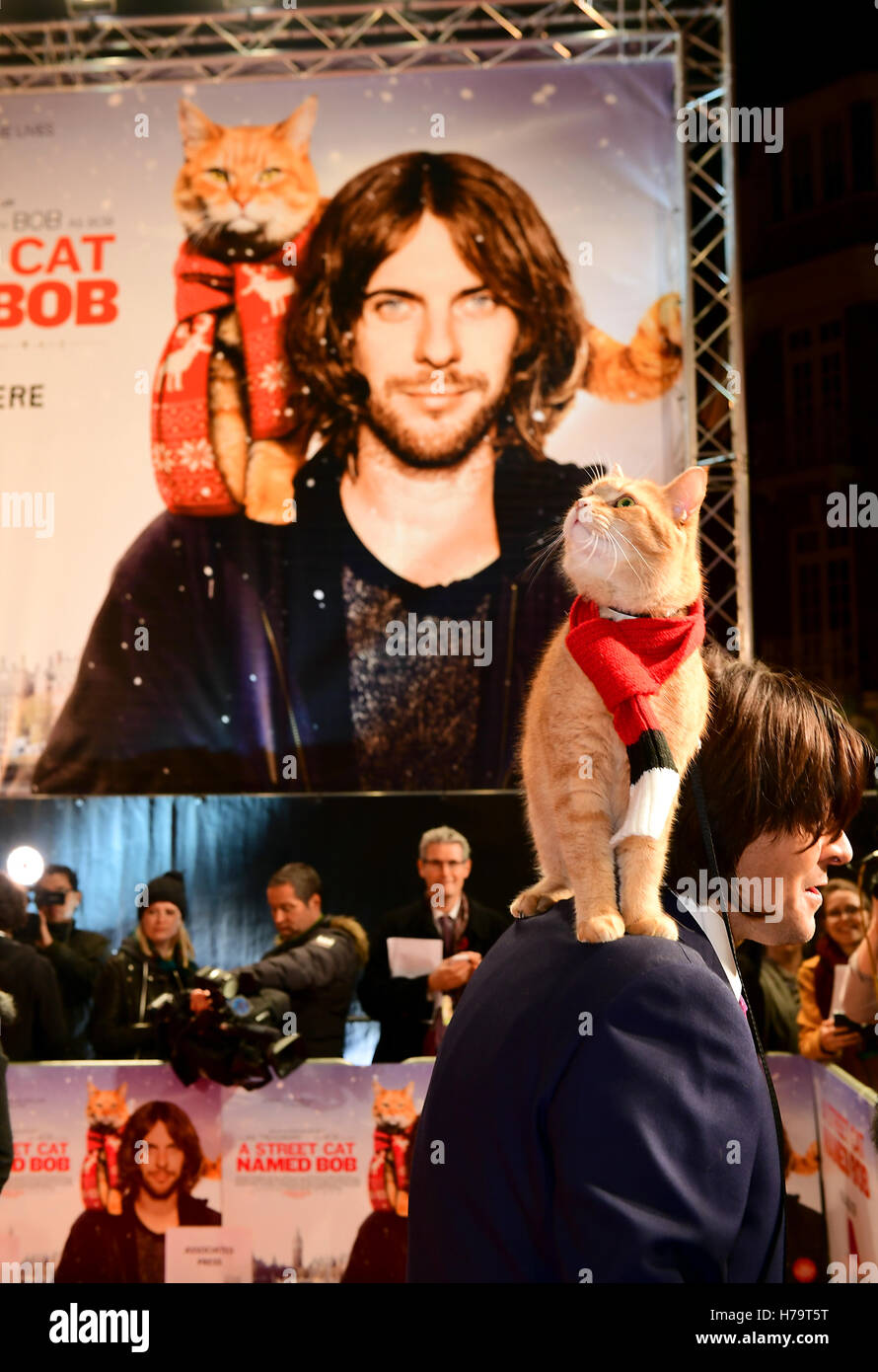 Bob the cat attending the world premiere of A Street Cat Named Bob held ...