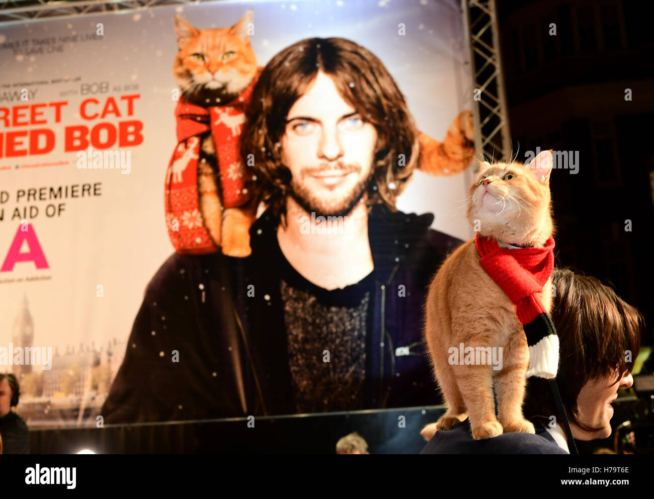 Bob the cat attending the world premiere of A Street Cat Named Bob held ...