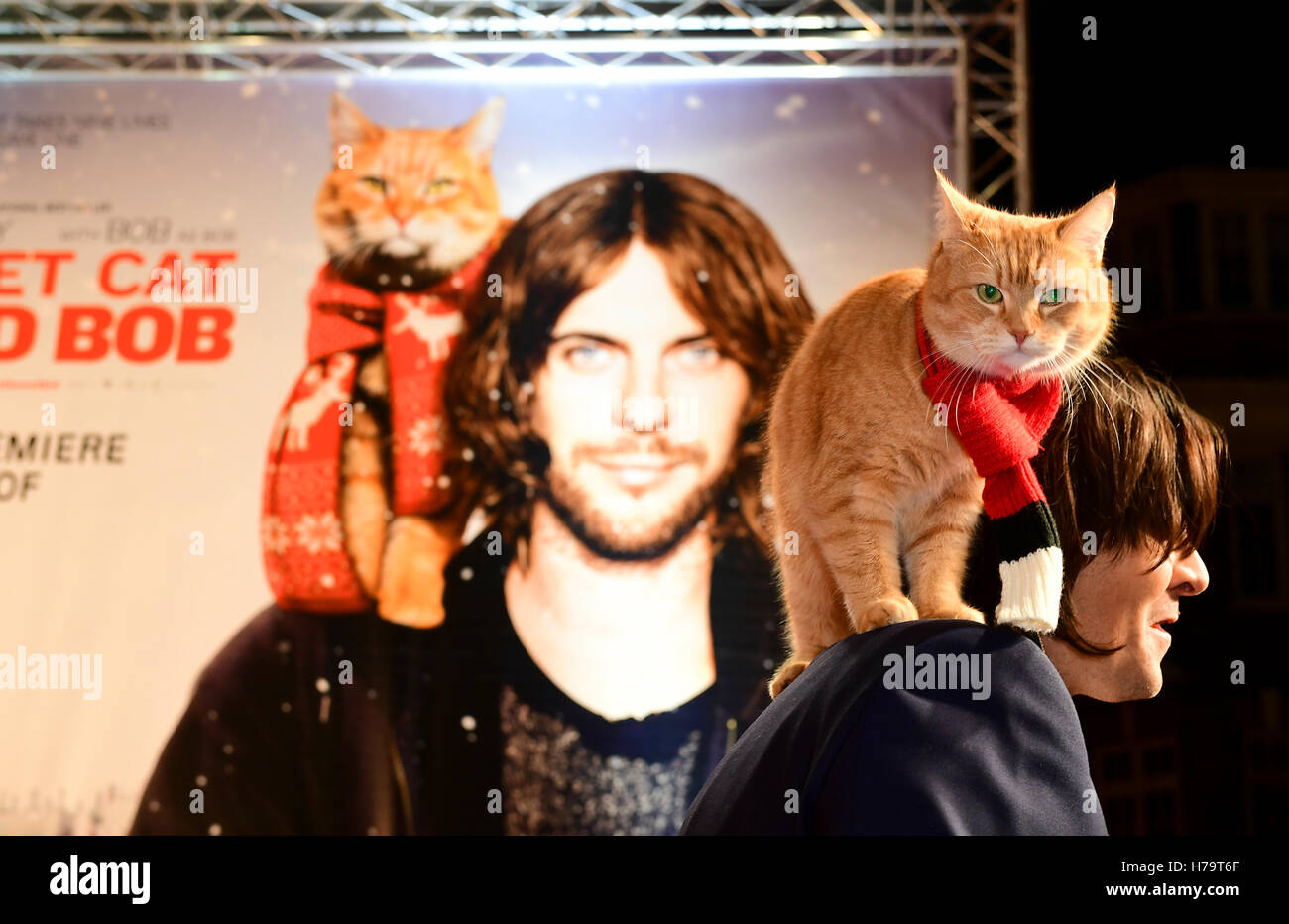 Bob the cat attending the world premiere of A Street Cat Named Bob held ...