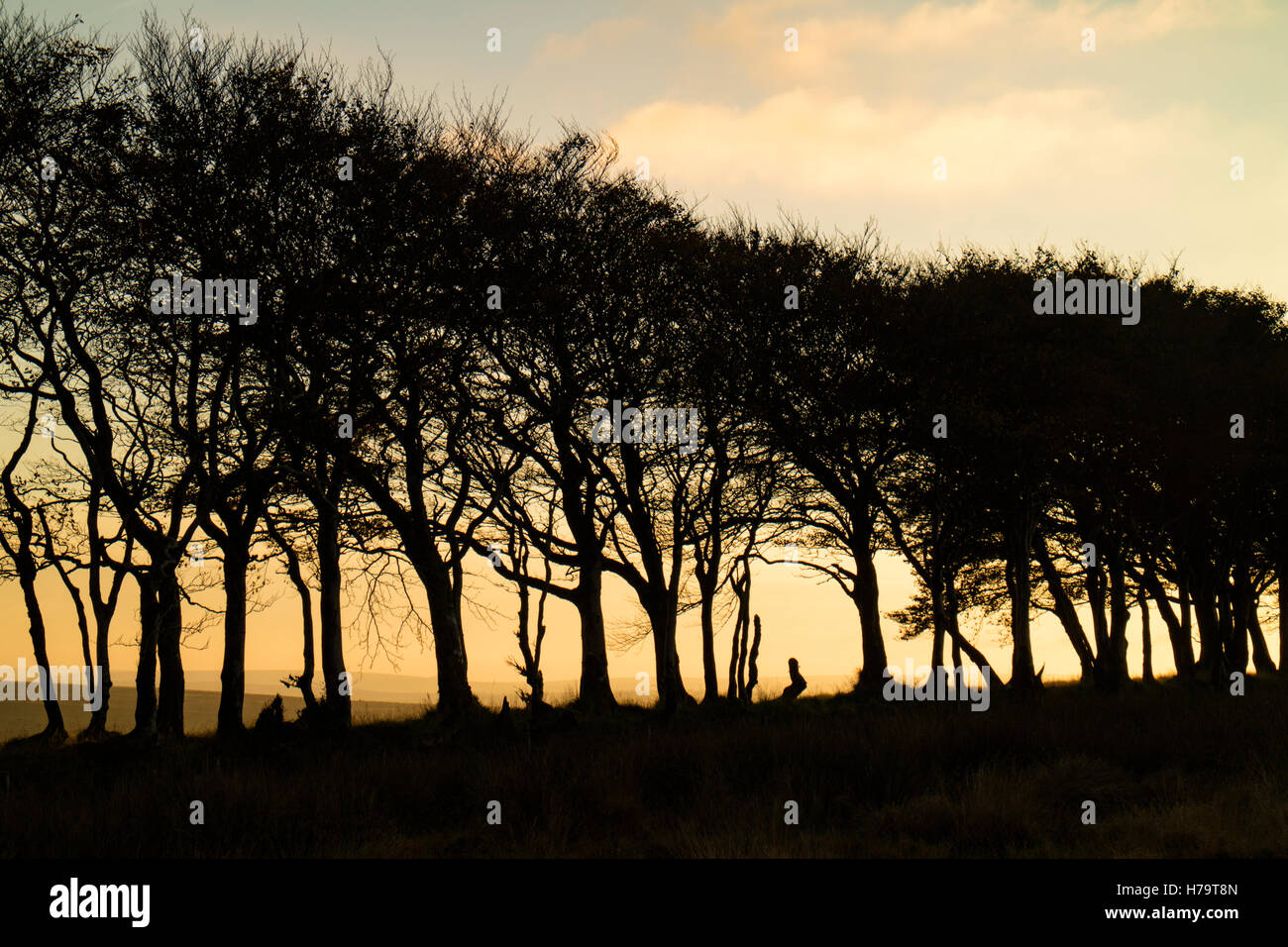 Exmoor at sunset hi-res stock photography and images - Alamy