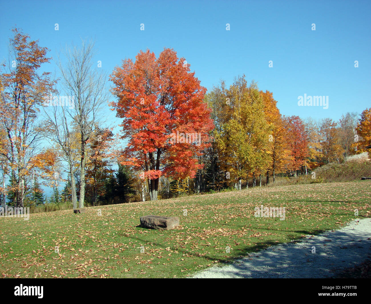 Upper peninsula fall colors hi-res stock photography and images - Alamy