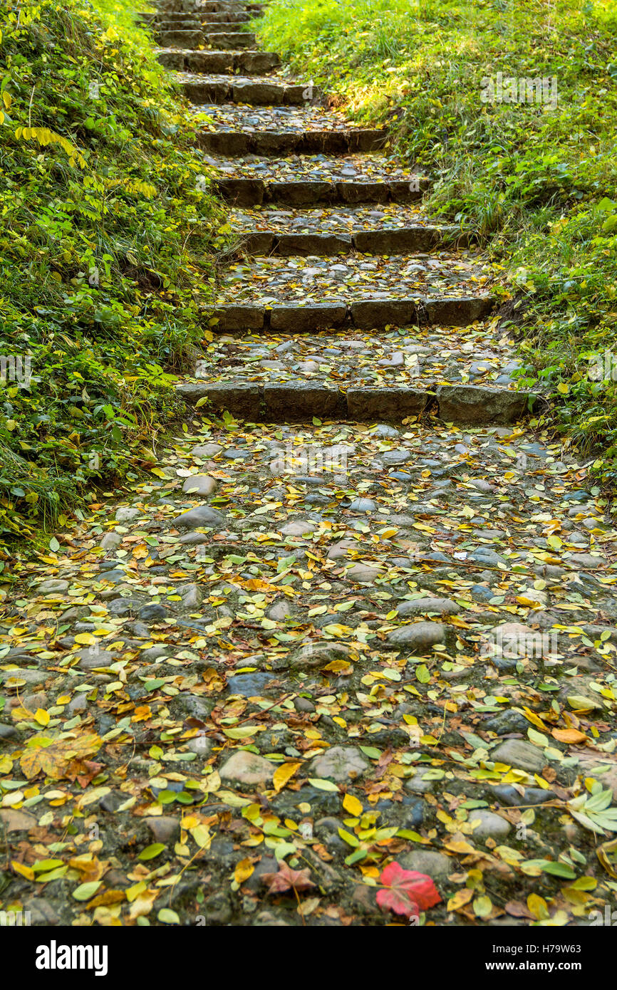 Stairs in park. Autumn season Stock Photo - Alamy