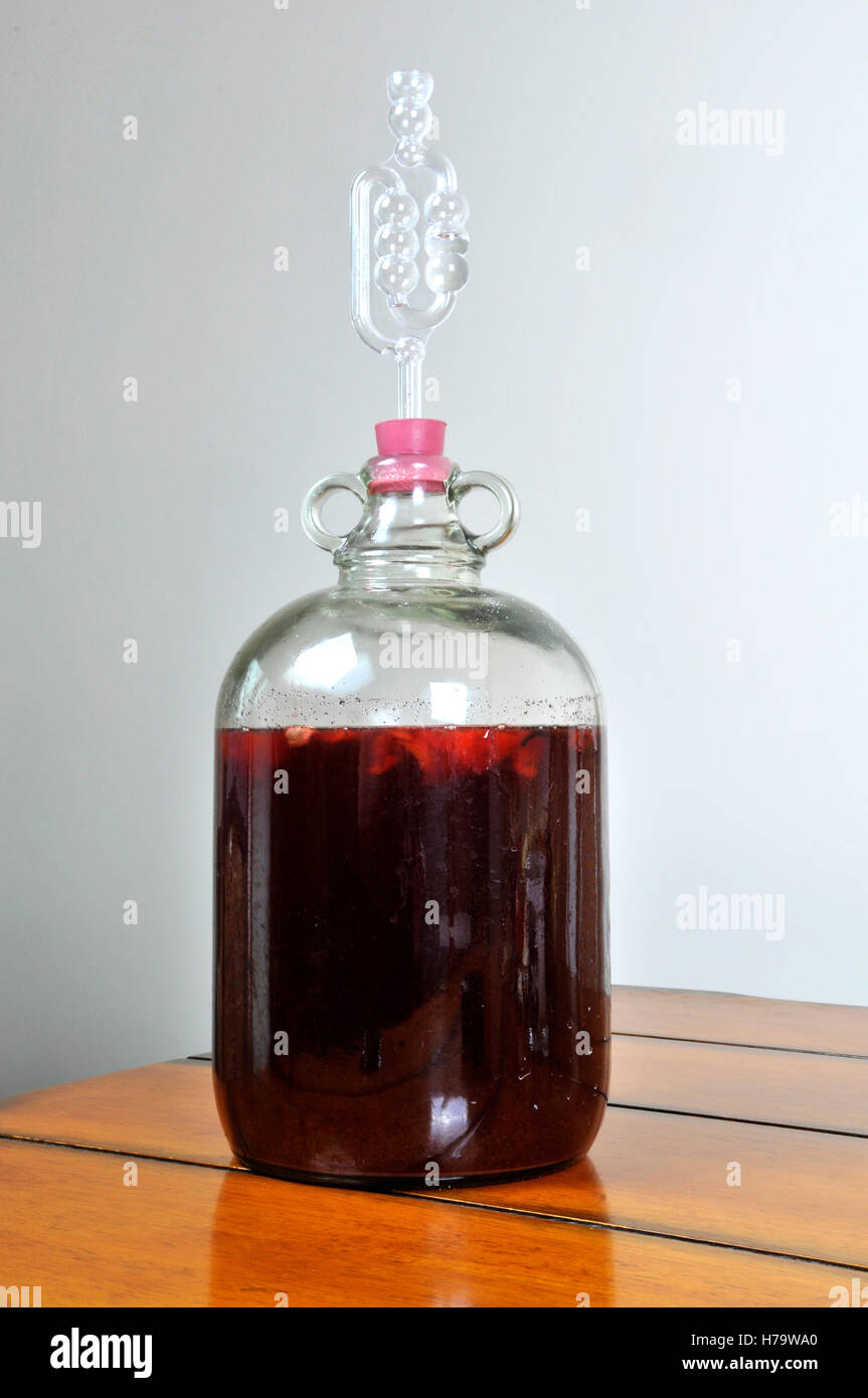 demijohn brewing alcohol Stock Photo - Alamy