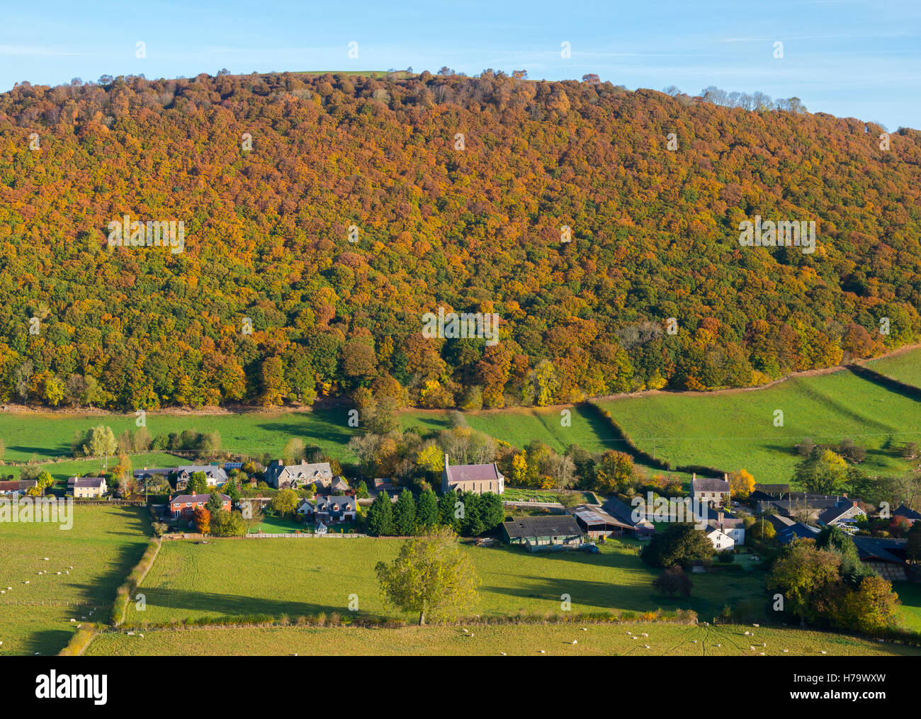 Autumn colour surrounds the village of Chapel Lawn in the Redlake ...