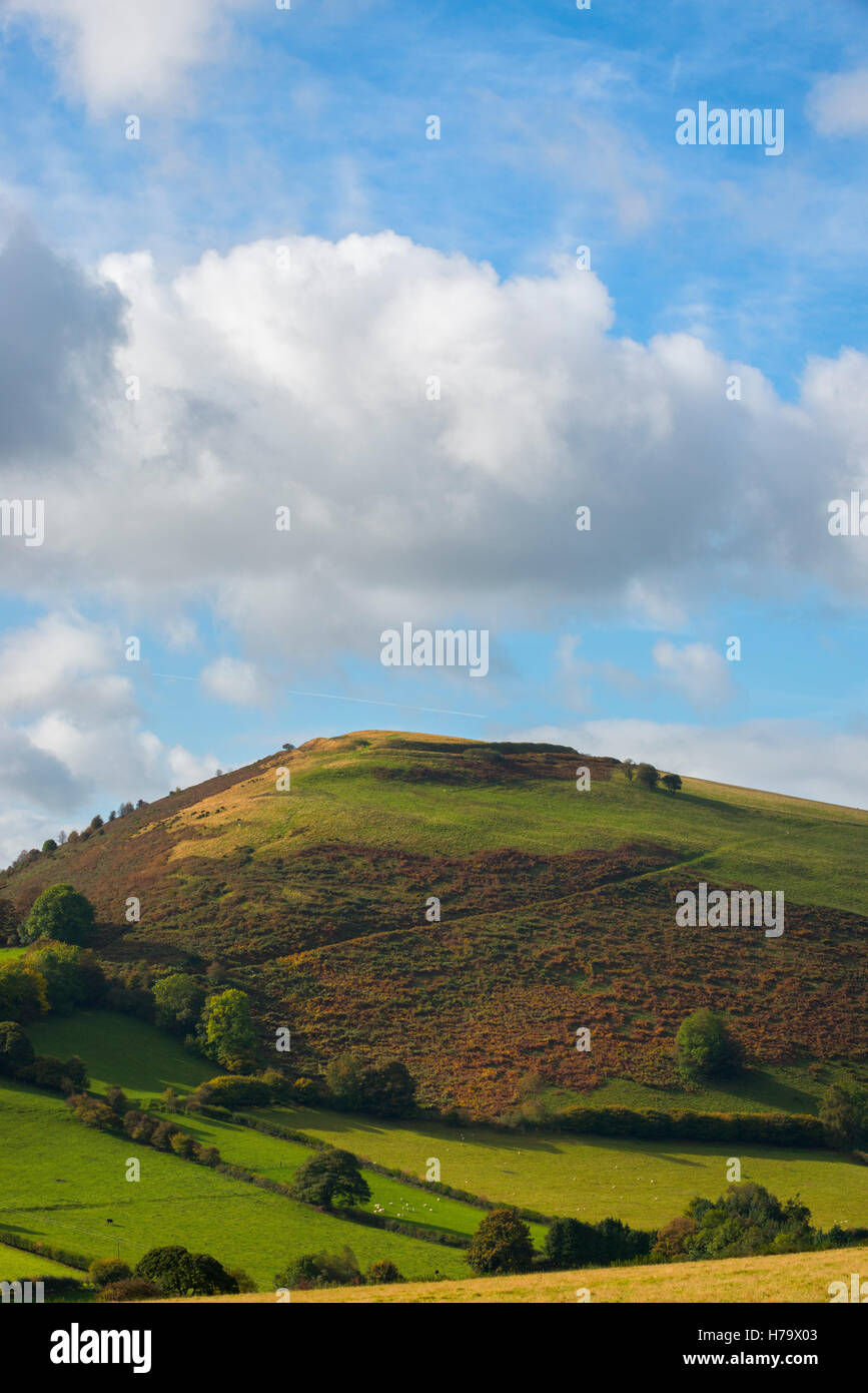 Sunshine on Caer Caradoc Iron Age hill fort near Chapel Lawn, Clun ...