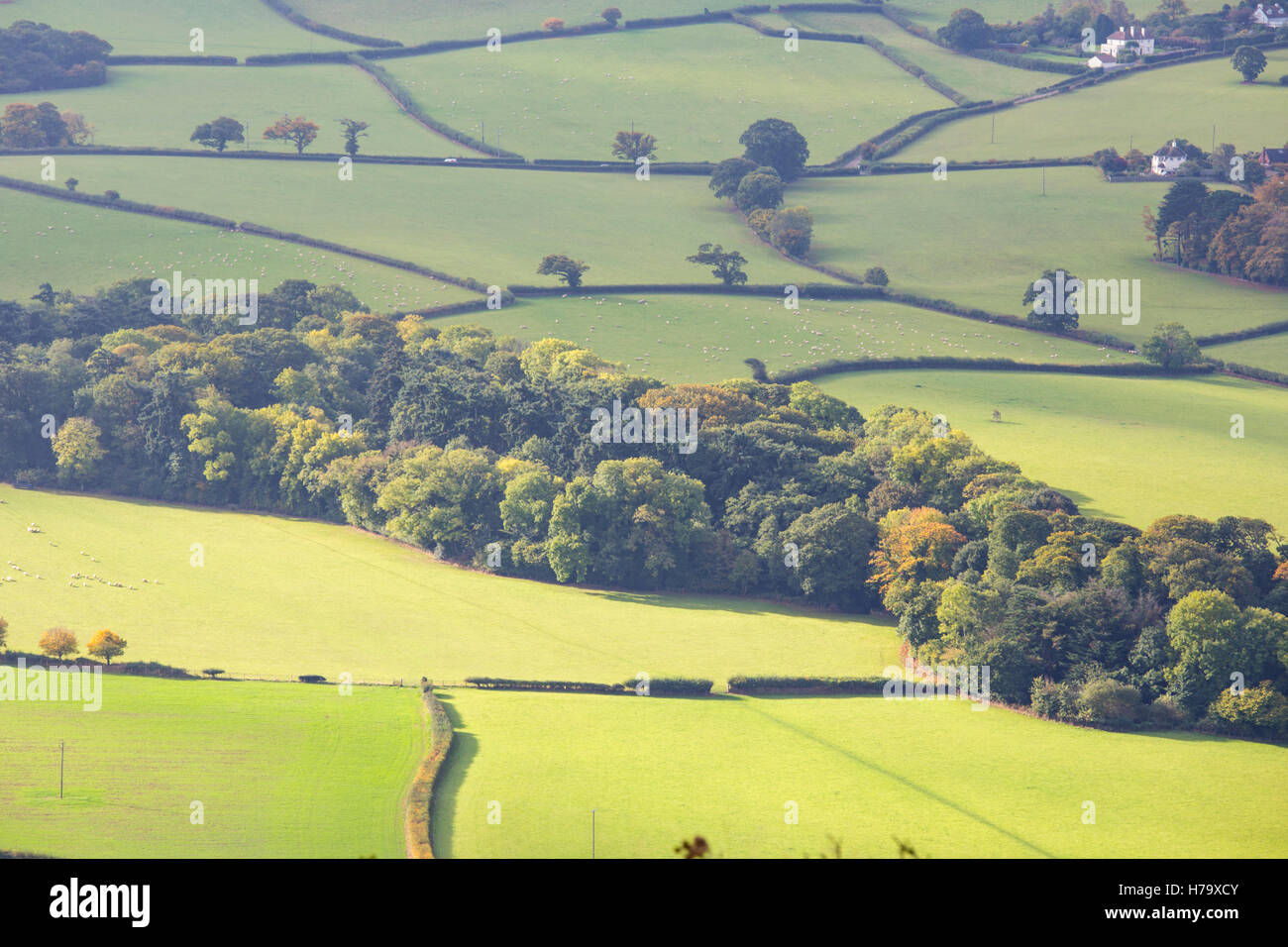 An Exmoor landscape, Exmoor National Park, Somerset, England, UK Stock ...