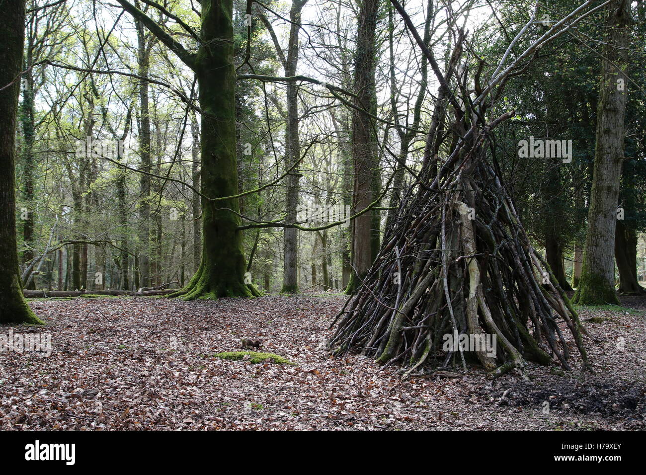 Made from branches hi-res stock photography and images - Alamy