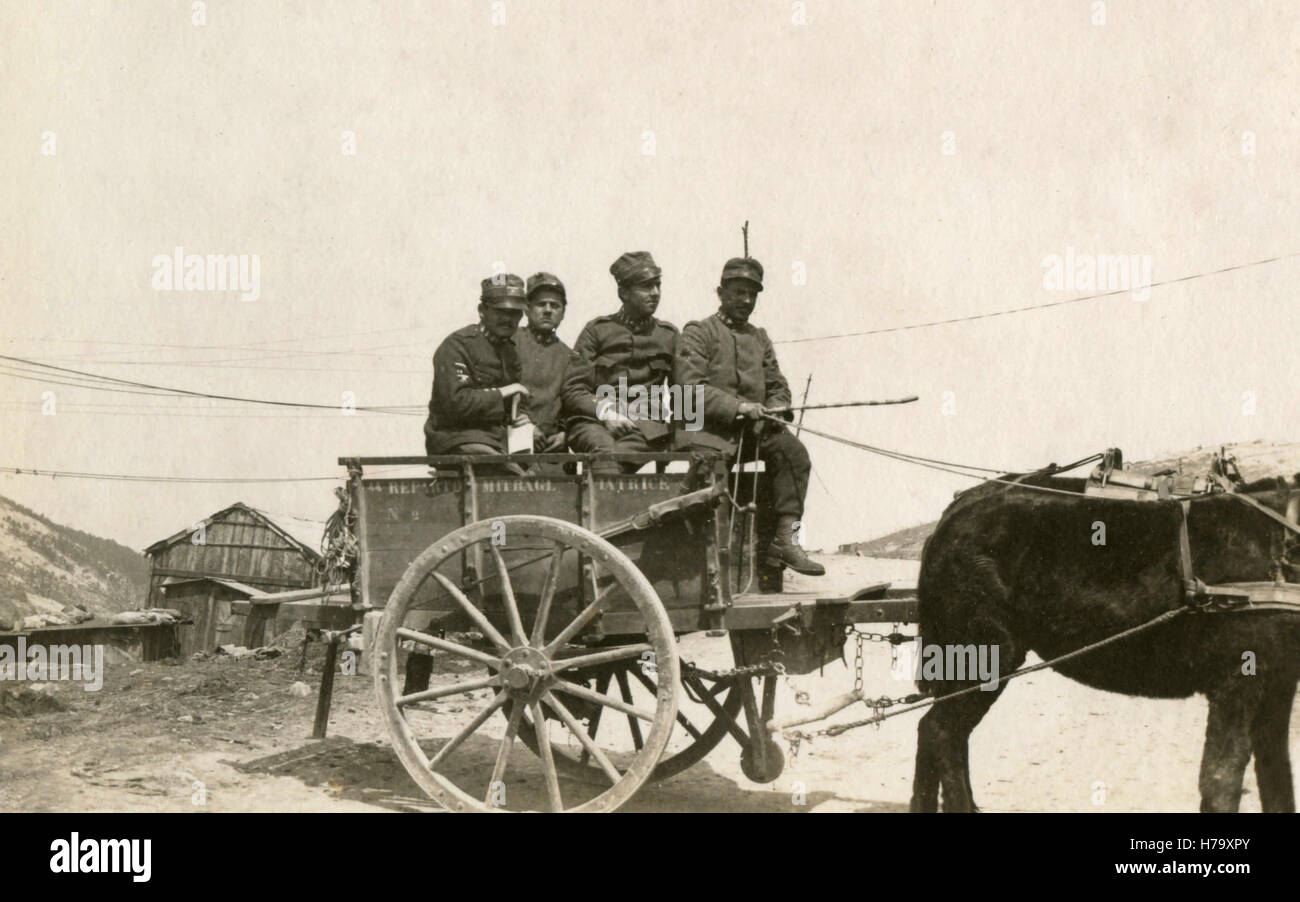 Army mule hi-res stock photography and images - Alamy