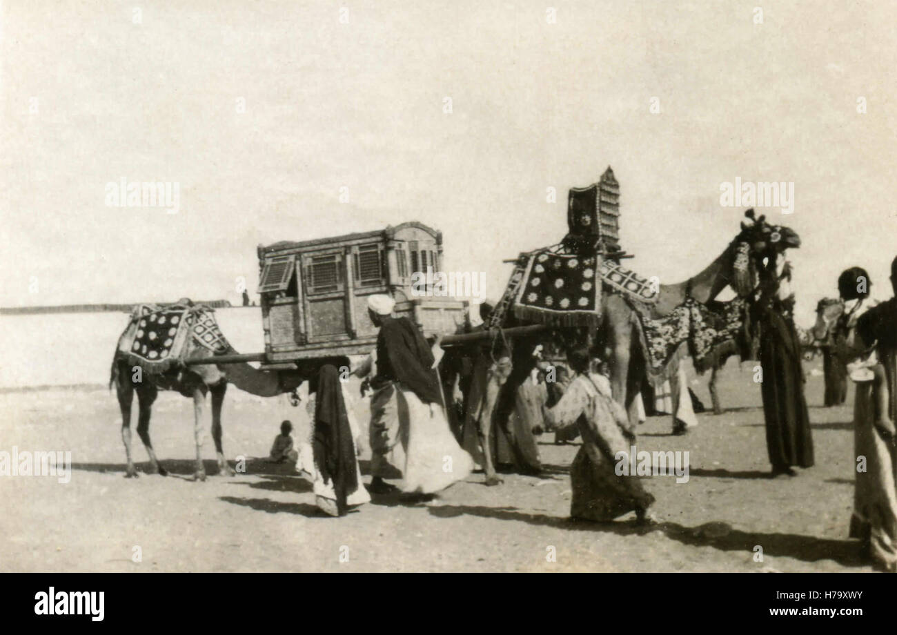 Camel wagon in the desert, Egypt Stock Photo - Alamy