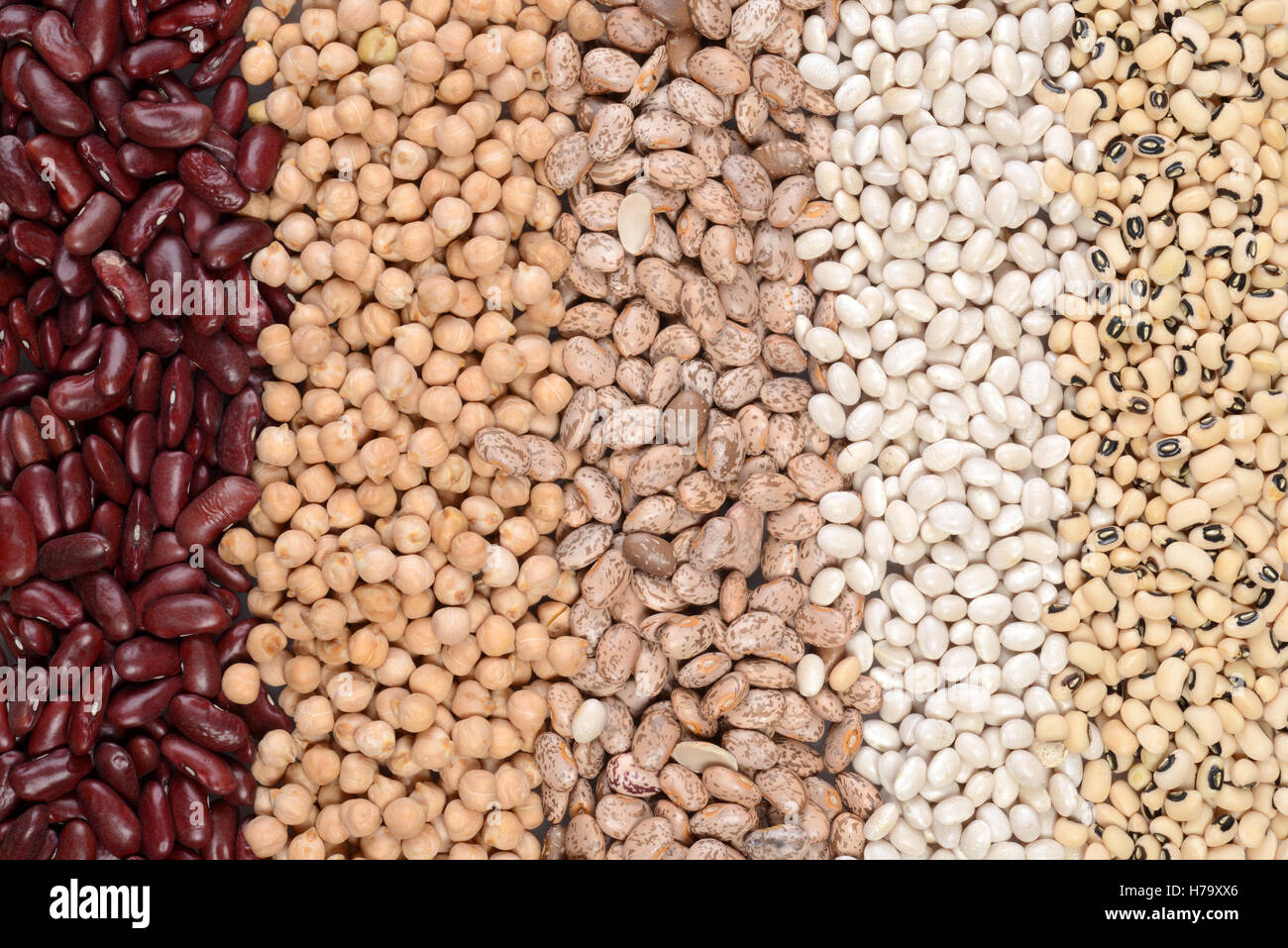 assorted beans in a row Stock Photo - Alamy
