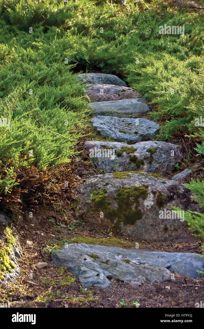 Stone pathway, granite rock stairway pavement path in summer garden ...