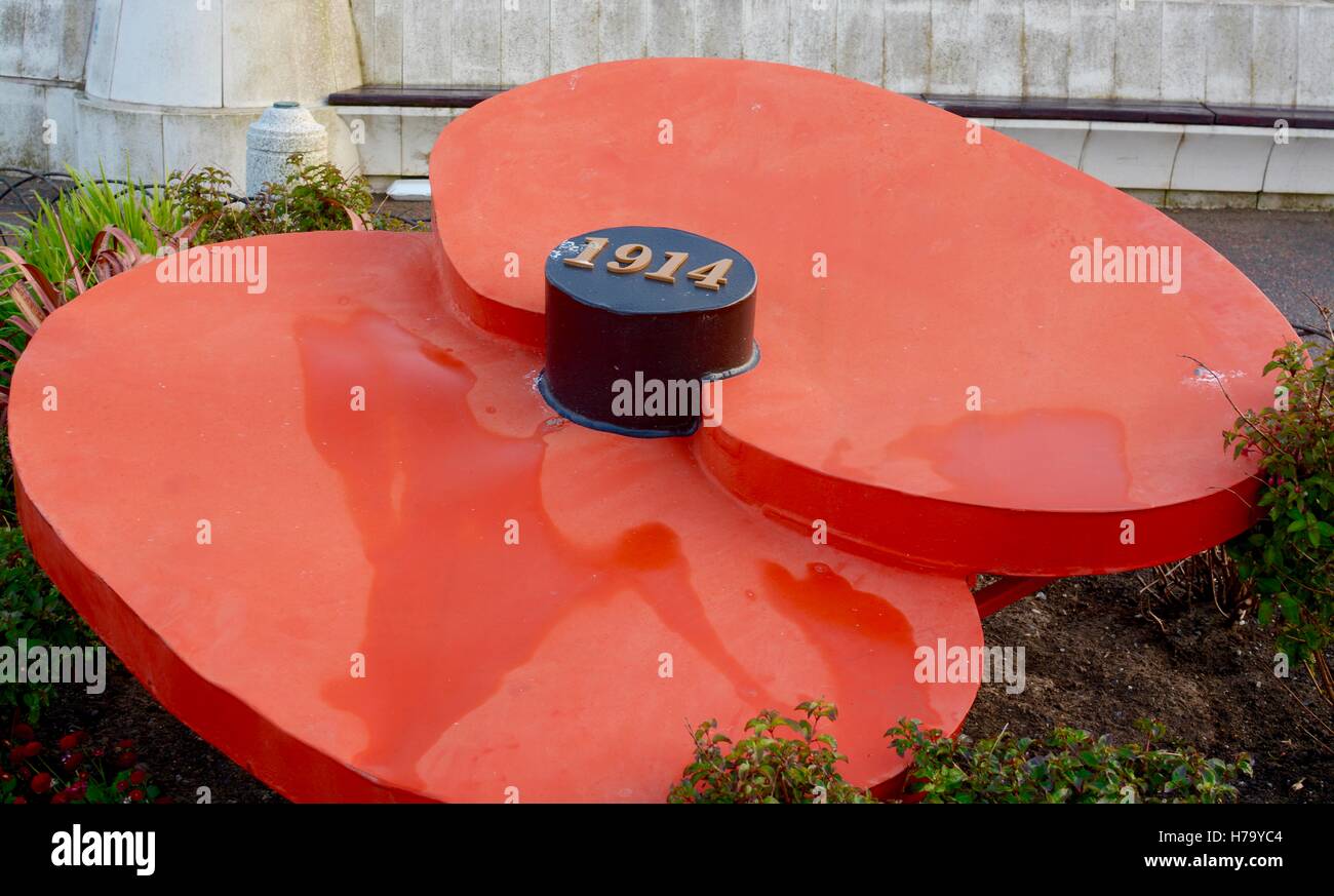 Giant remembrance poppy Stock Photo - Alamy