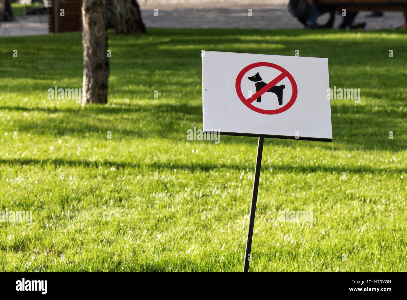 No dog allowed sign in the park with green grass on the background ...