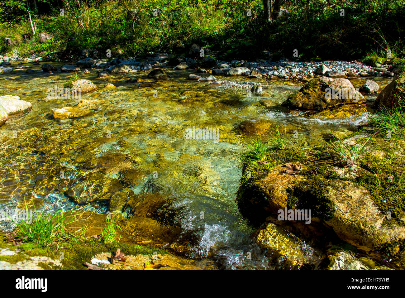 Creek with Fast Flowing Clear Water Stock Photo - Alamy
