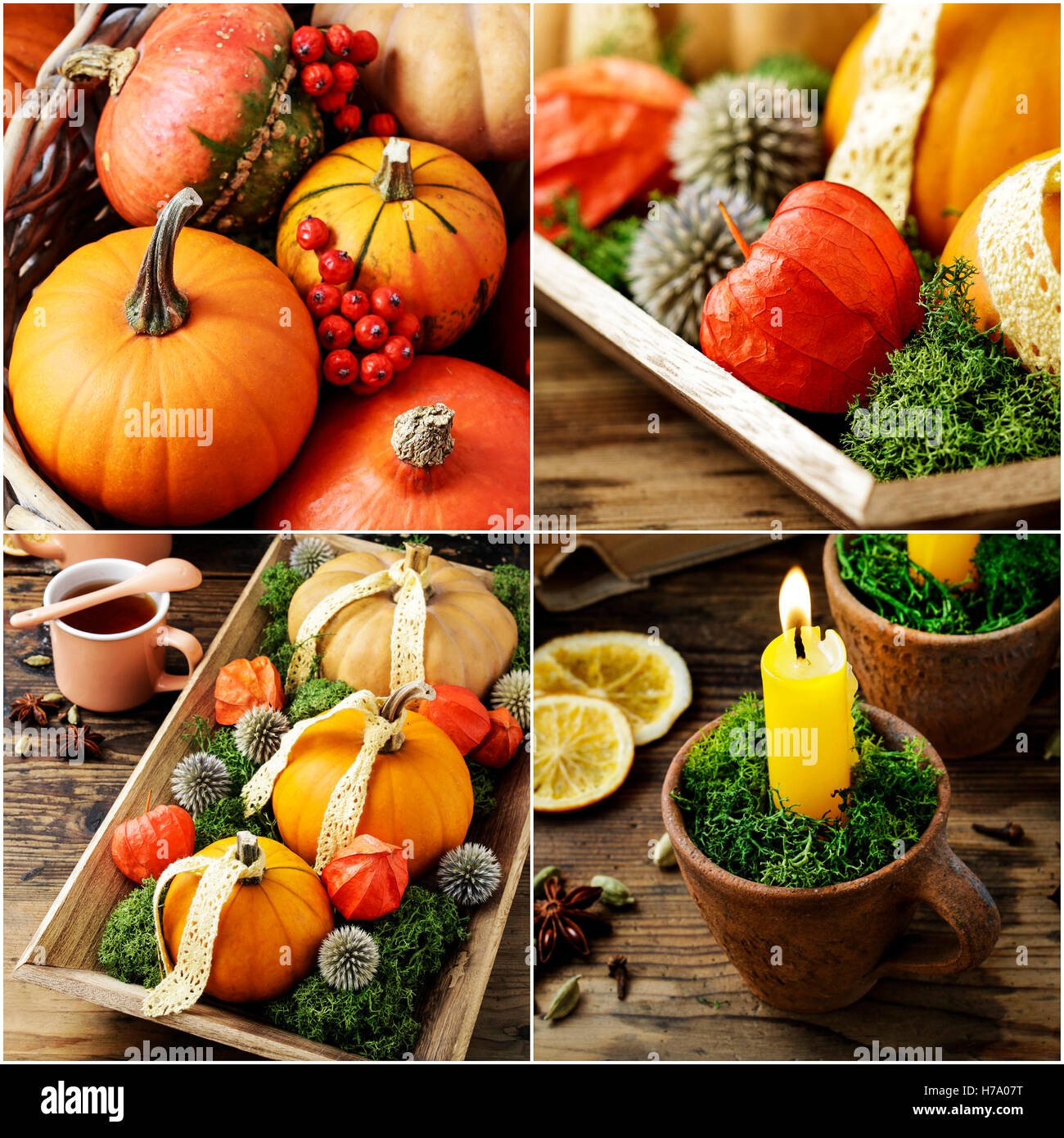 Collage with autumn plants. Autumn backgrounds Stock Photo - Alamy