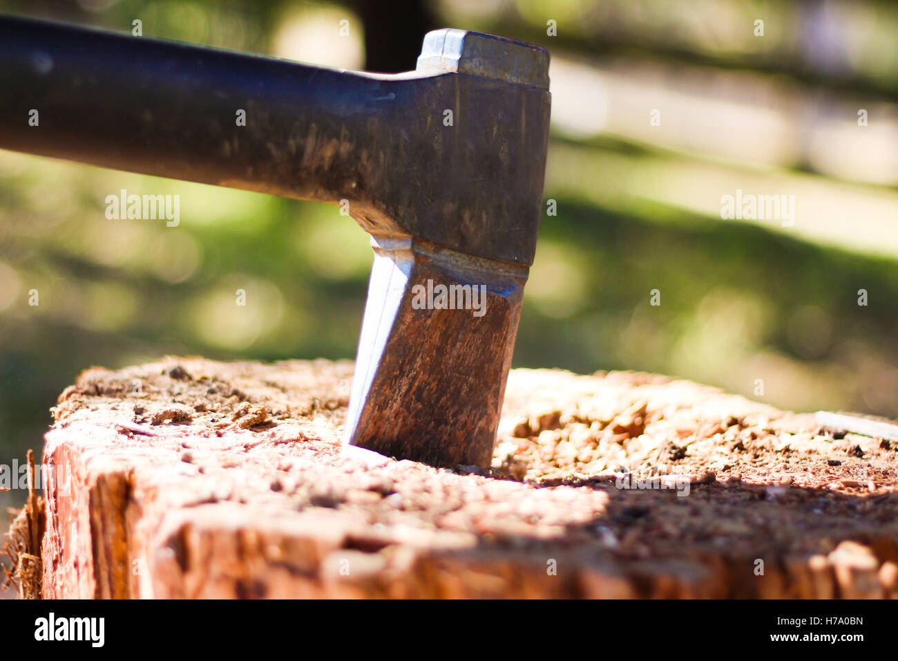 Axe resting in a woodchopping log Stock Photo - Alamy