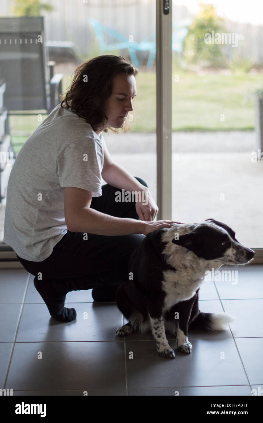 dog getting pat Stock Photo - Alamy